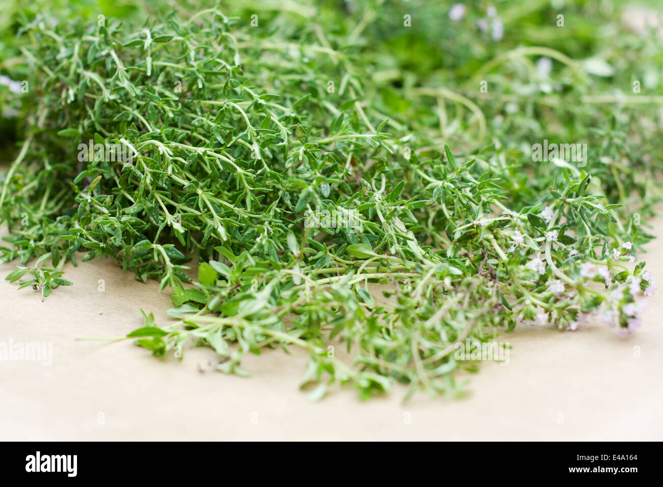 Laying paper hi-res stock photography and images - Alamy