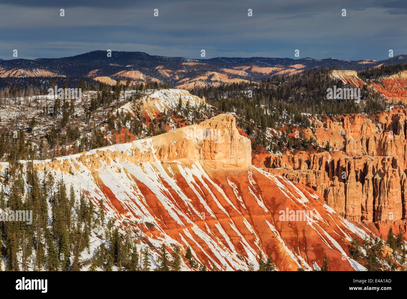 Snowy cliffs, pine trees and hoodoos lit by morning sun with cloudy sky ...