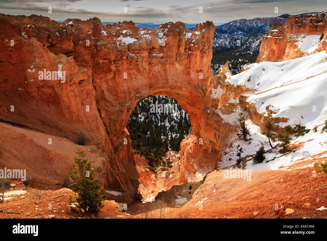 Red-hued limestone arch lit by morning sun with snowy cliffs in winter ...
