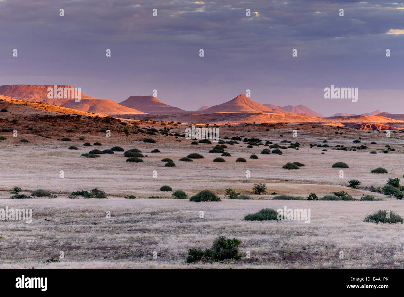 Africa, Namibia, Damaraland, view to grassland and volcanos by sunset ...