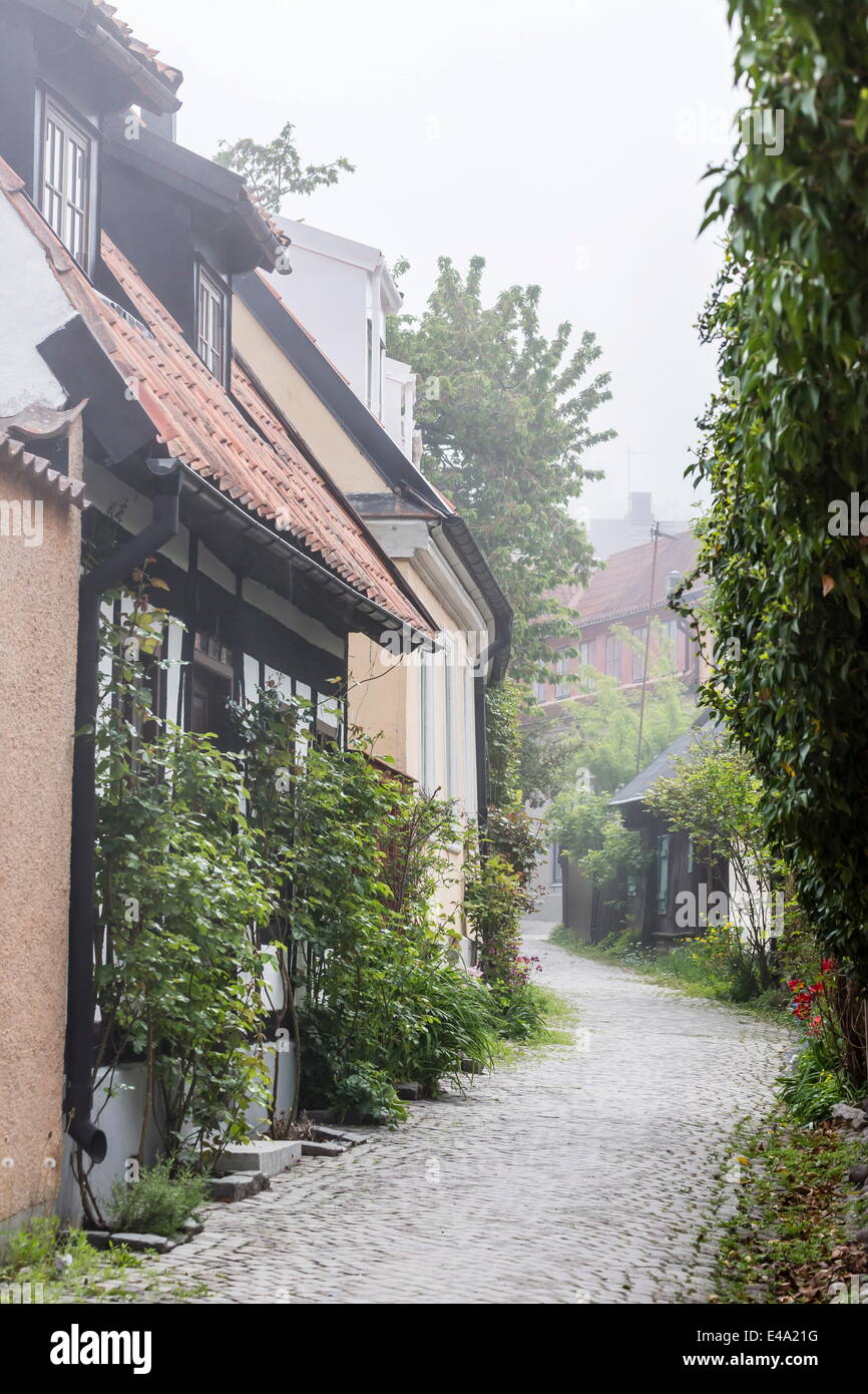 View of houses in the town of Visby, UNESCO World Heritage Site ...
