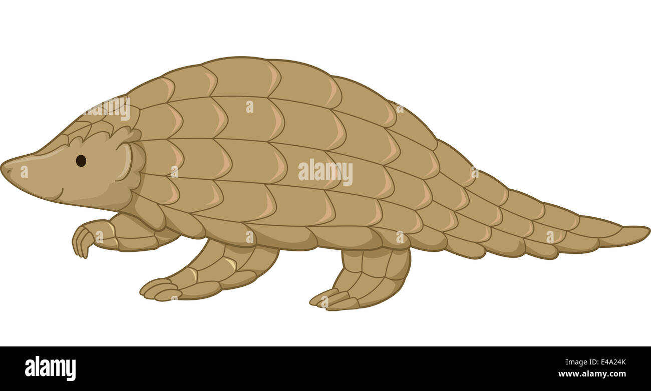 Illustration Featuring a Cute Pangolin Stock Photo - Alamy