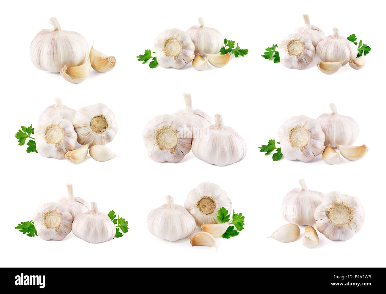 Organic raw white garlic Cut Out Stock Images & Pictures - Alamy