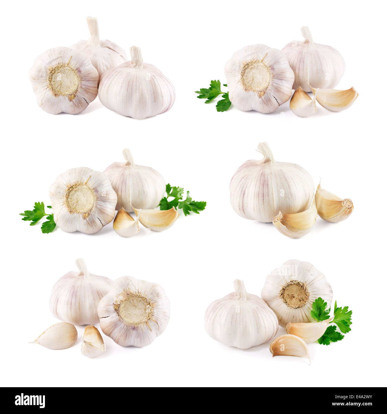 set of garlic on a white background Stock Photo - Alamy