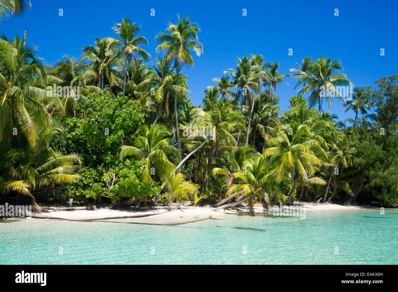 Peleliu island hi-res stock photography and images - Alamy