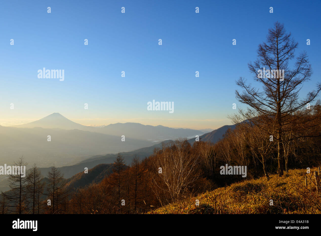 The city of Kofu and Mt.Fuji Stock Photo - Alamy