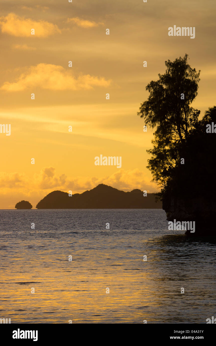 Micronesia, Palau, tropical island in evening light Stock Photo - Alamy