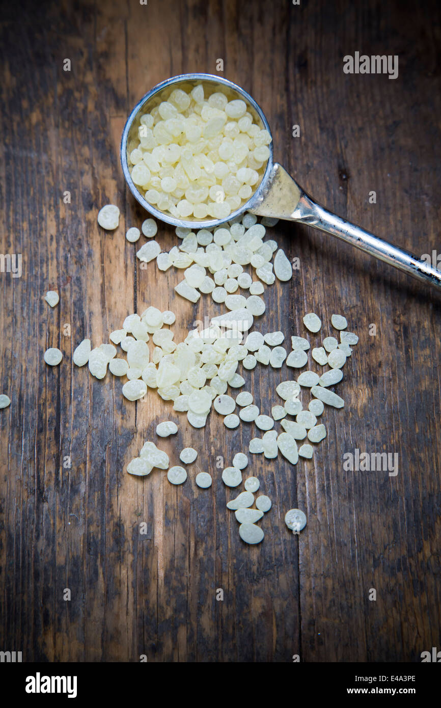 Mastic, Resin from mastic tree, Pistacia lentiscus, Chios tears on ...