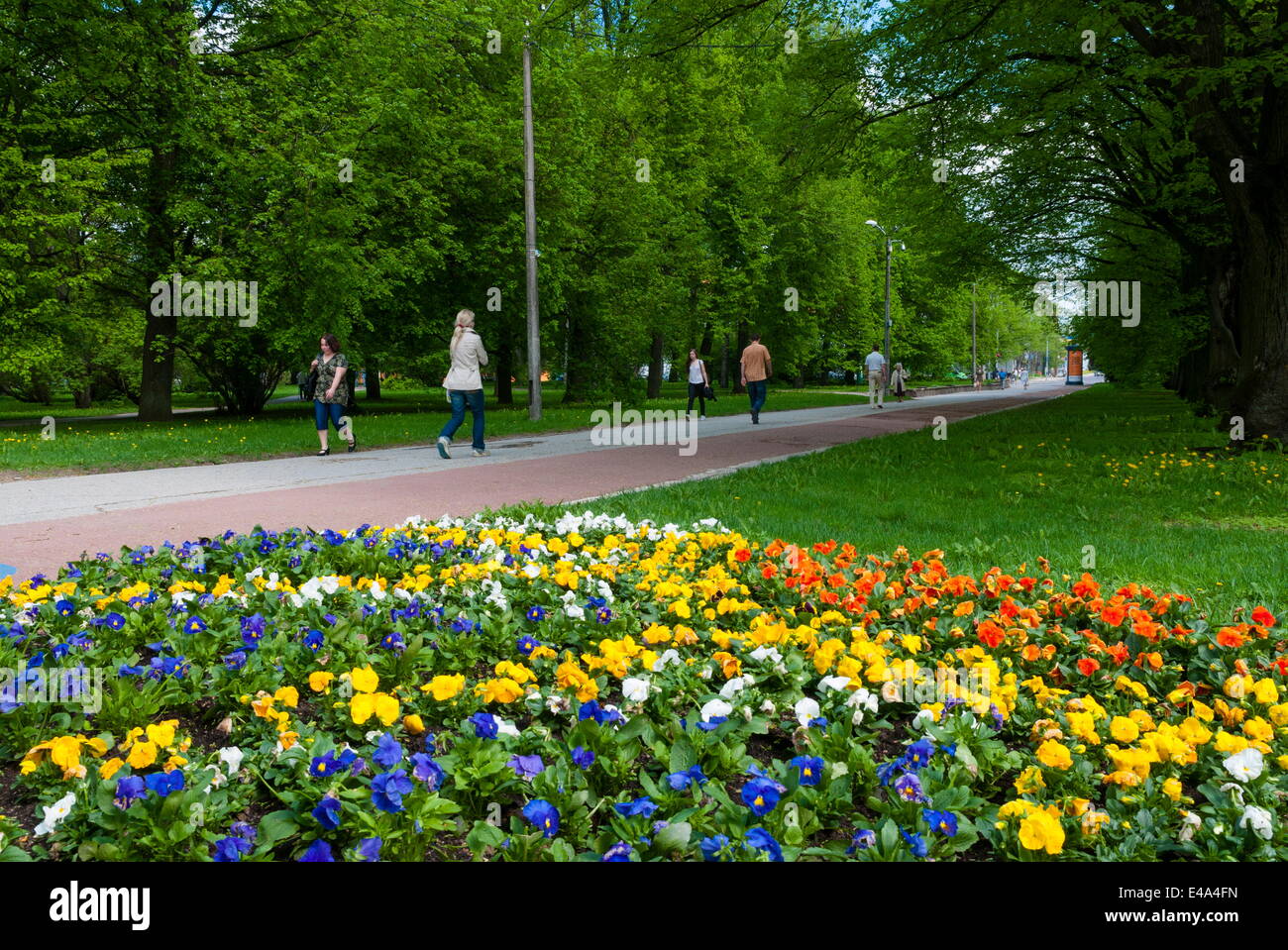 Gardens close to Bridge of Kaarsild, River Emajogi, Tartu, Estonia ...