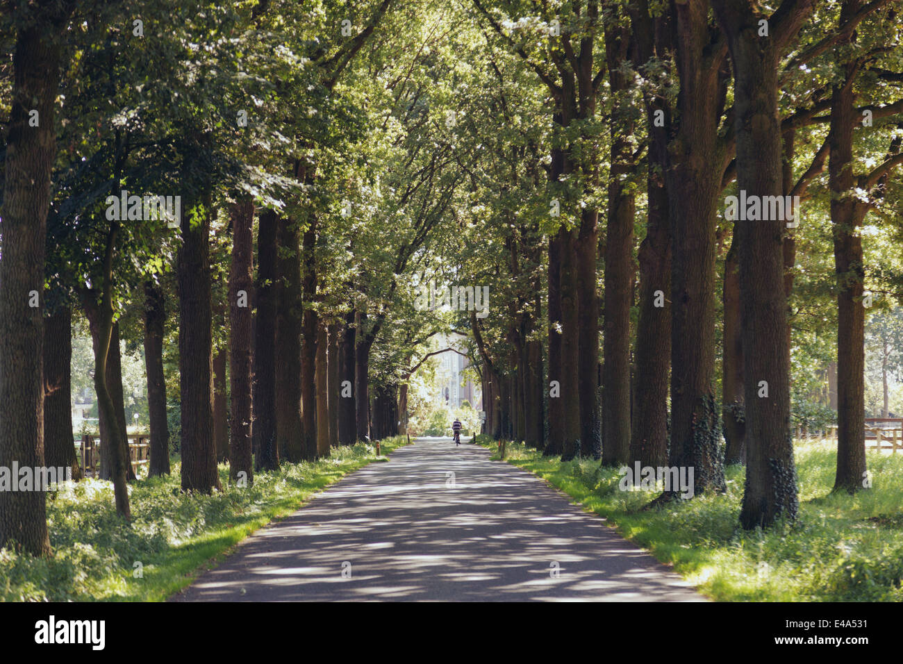 Ostbevern hi-res stock photography and images - Alamy