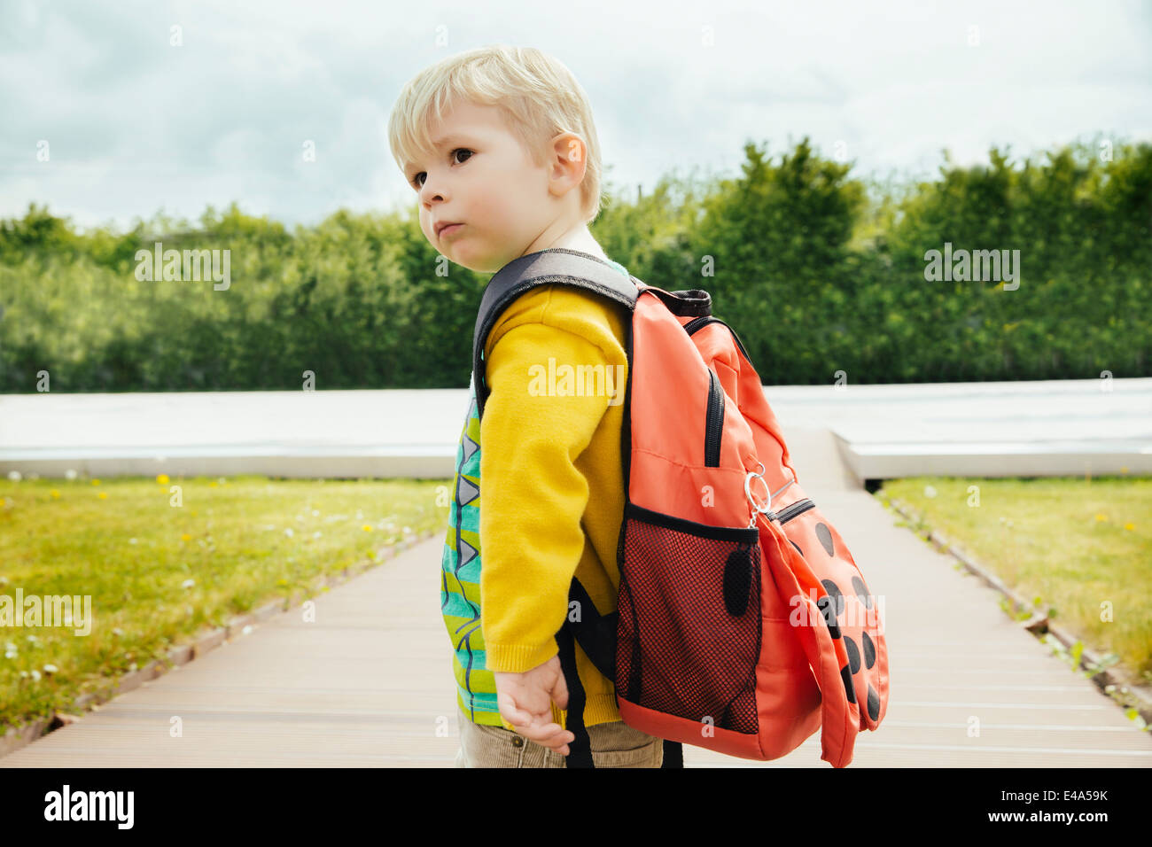 Image of leave hi-res stock photography and images - Alamy