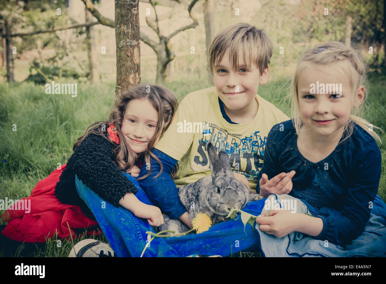 Garden rabbit three hi-res stock photography and images - Alamy