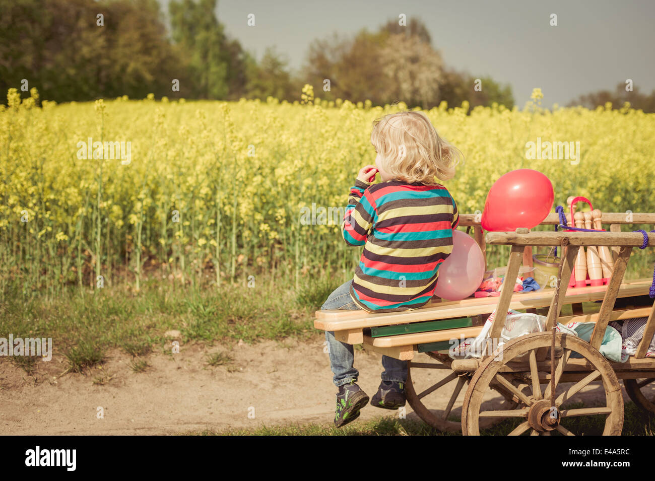 Little boy sitting on wooden trolley, back view Stock Photo - Alamy