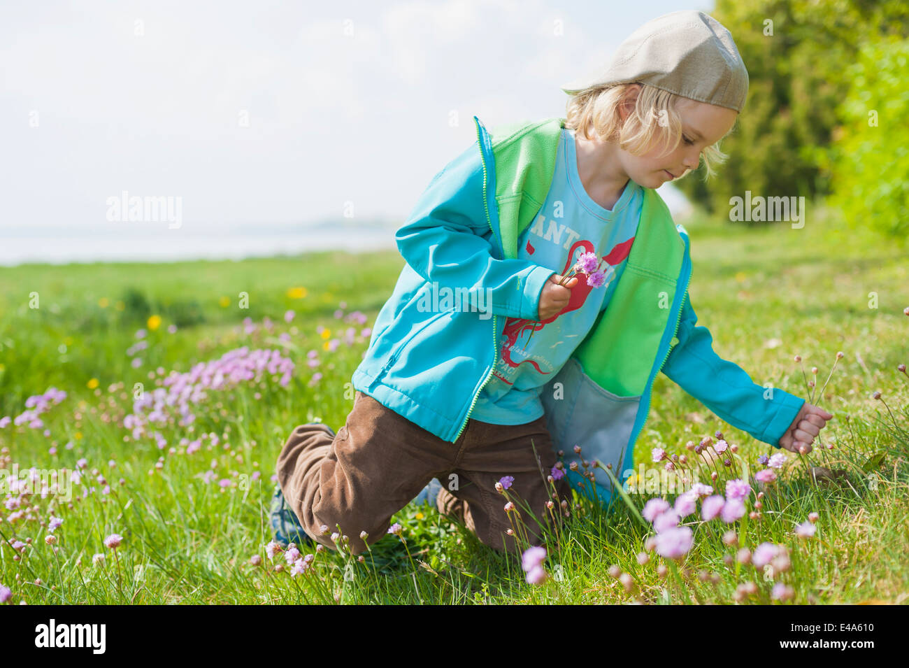 Boy picking flowers hi-res stock photography and images - Alamy