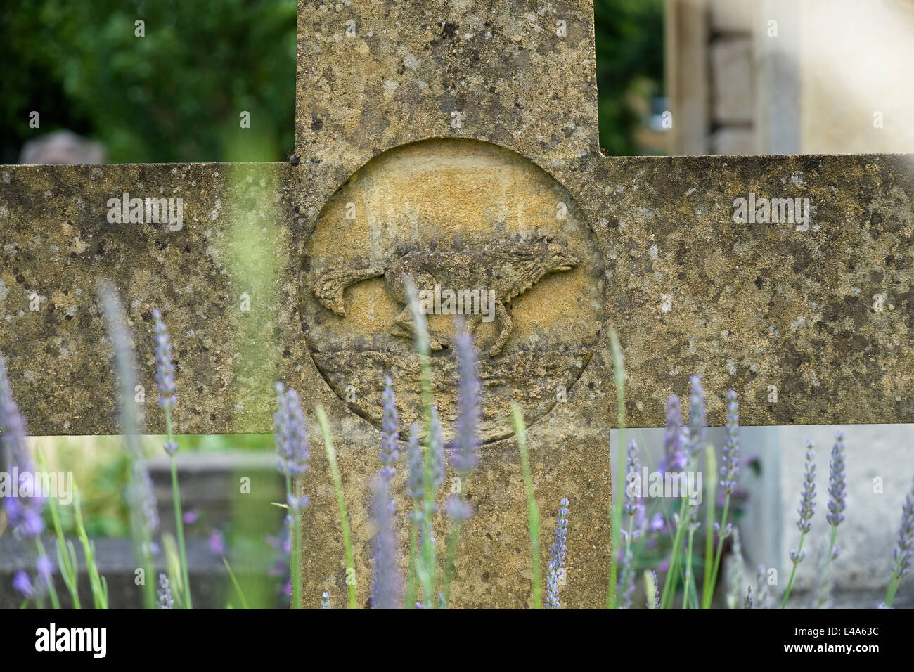 Wolf cemetery hi-res stock photography and images - Alamy