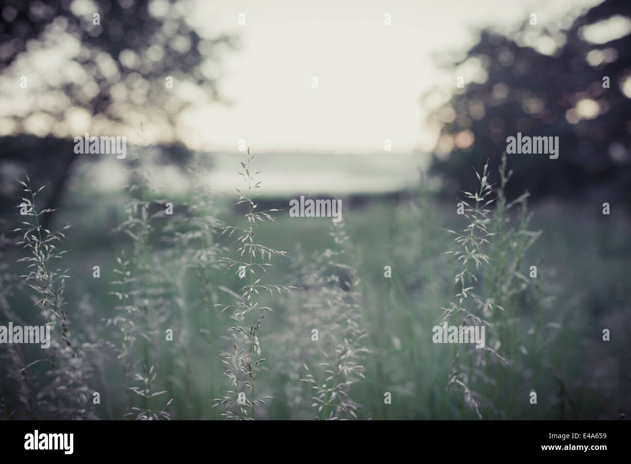 Mulden valley hi-res stock photography and images - Alamy