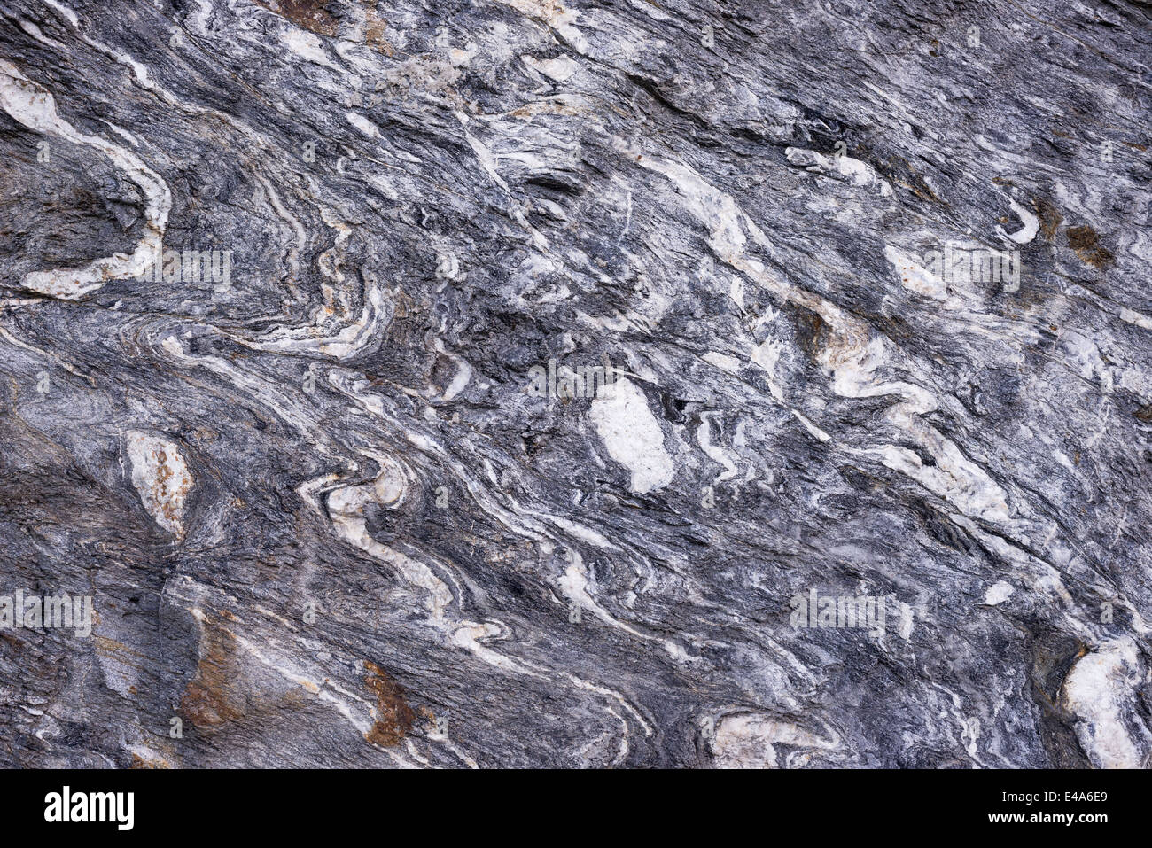 Close up of rock surface, gneiss with white folded quartz veins due to ...