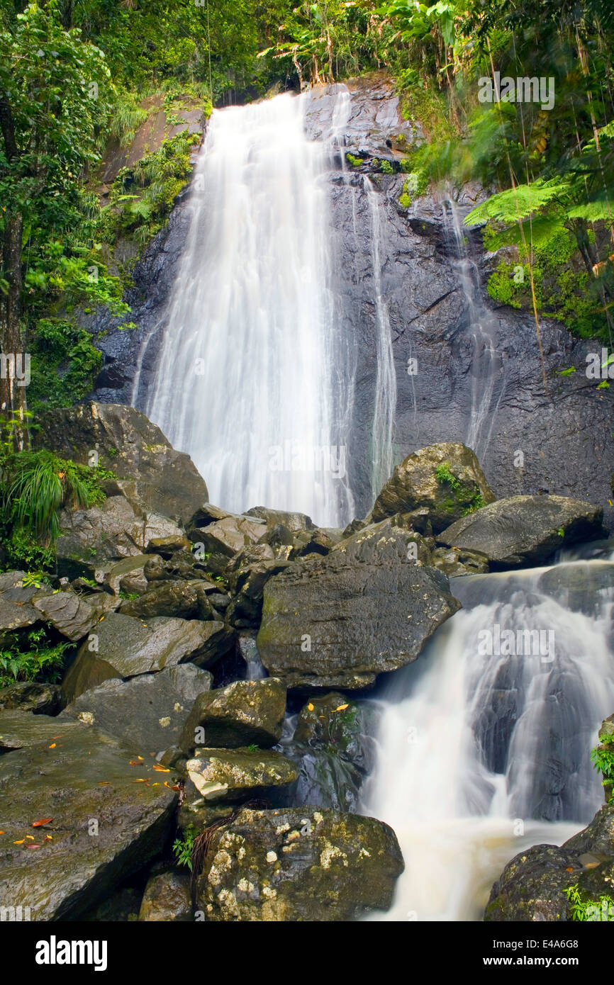 La coca waterfall el yunque hi-res stock photography and images - Alamy