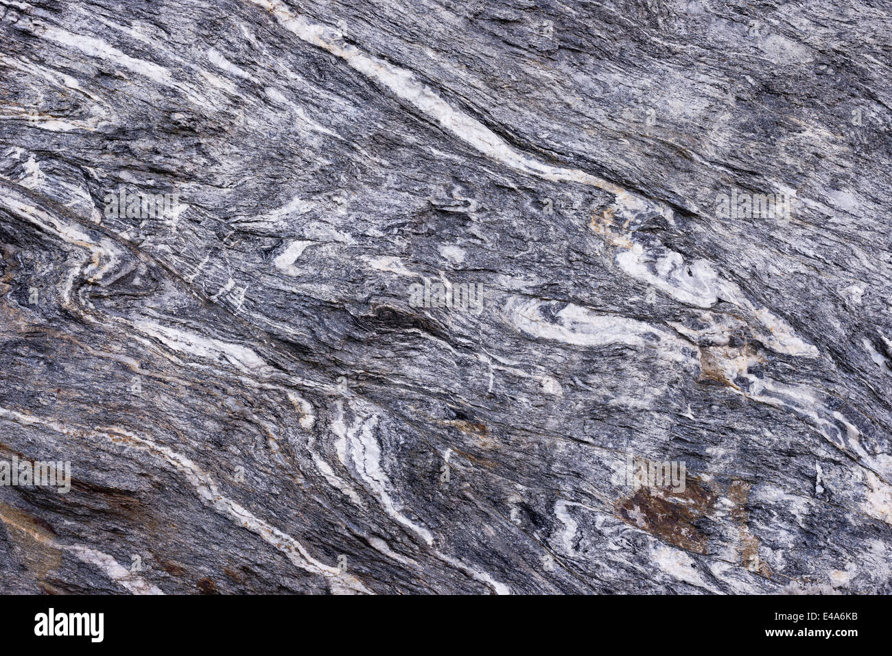 Close up of rock surface, gneiss with white folded quartz veins due to ...