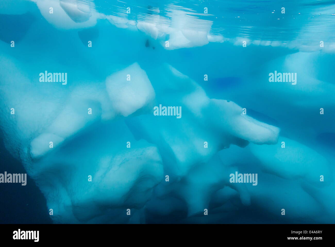 Underwater view of glacial ice in Orne Harbor, Antarctica, Polar ...