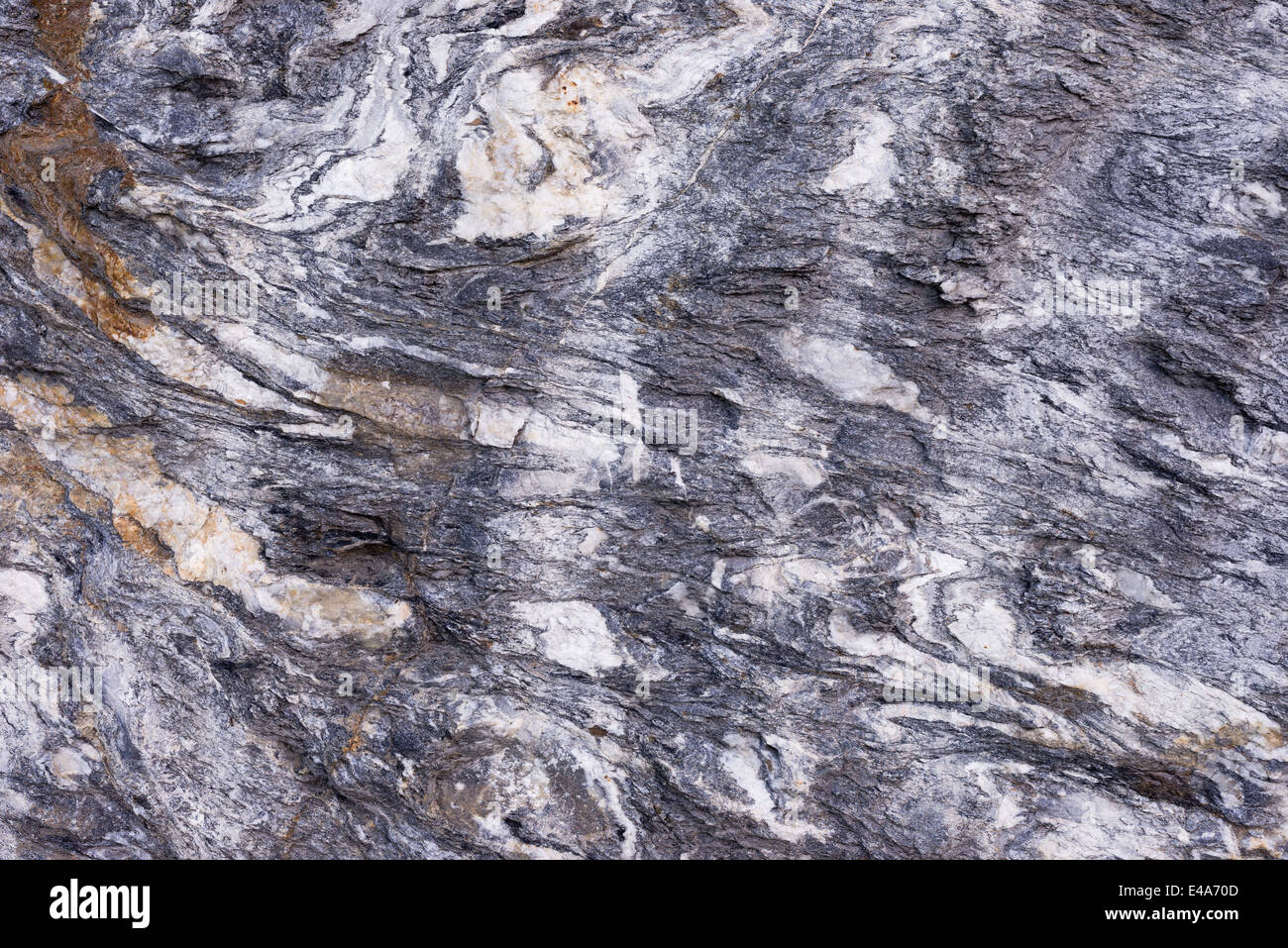 Close up of rock surface, gneiss with white folded quartz veins due to ...