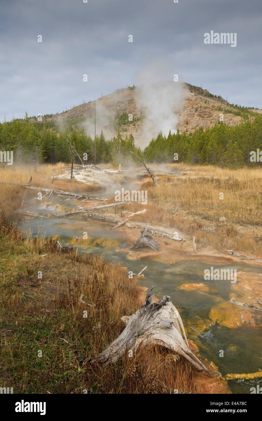Midway Geyser Basin thermal activity from the Fairy Creek Trail ...