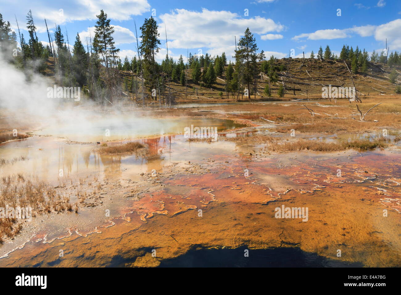 Colourful thermal features, Upper Geyser Basin, Yellowstone National ...