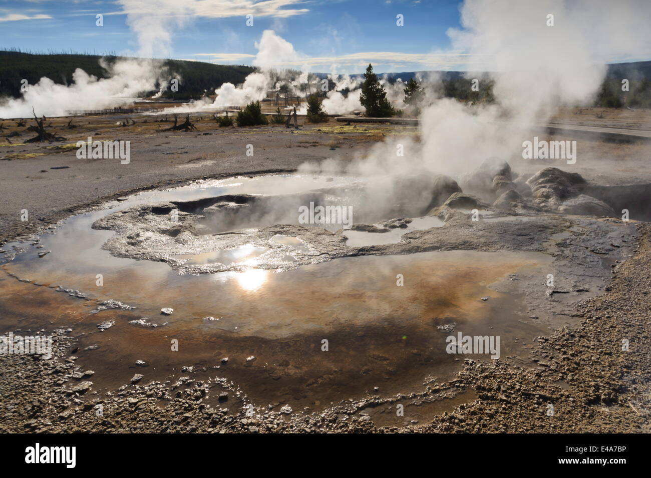 Yellowstone thermal features emit steam backlit by sun, Yellowstone ...