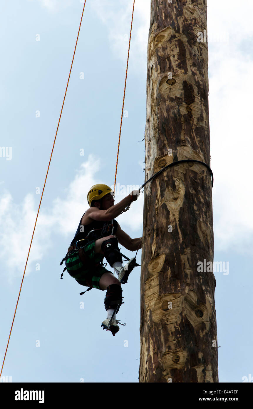 Contestant in a pole-climbing (running) competition at the Royal ...