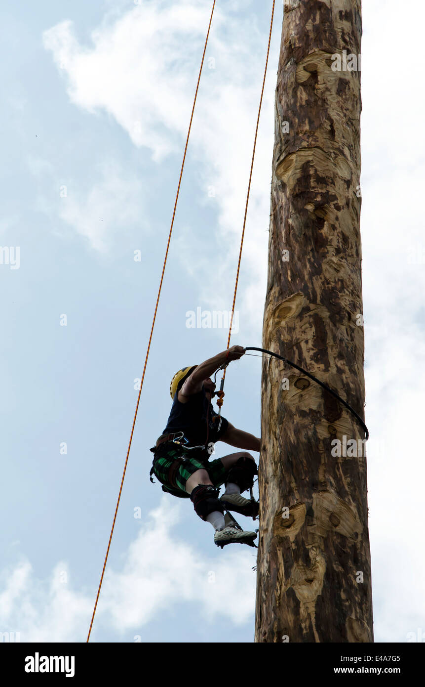 Pole climbing competition europe hi-res stock photography and images ...