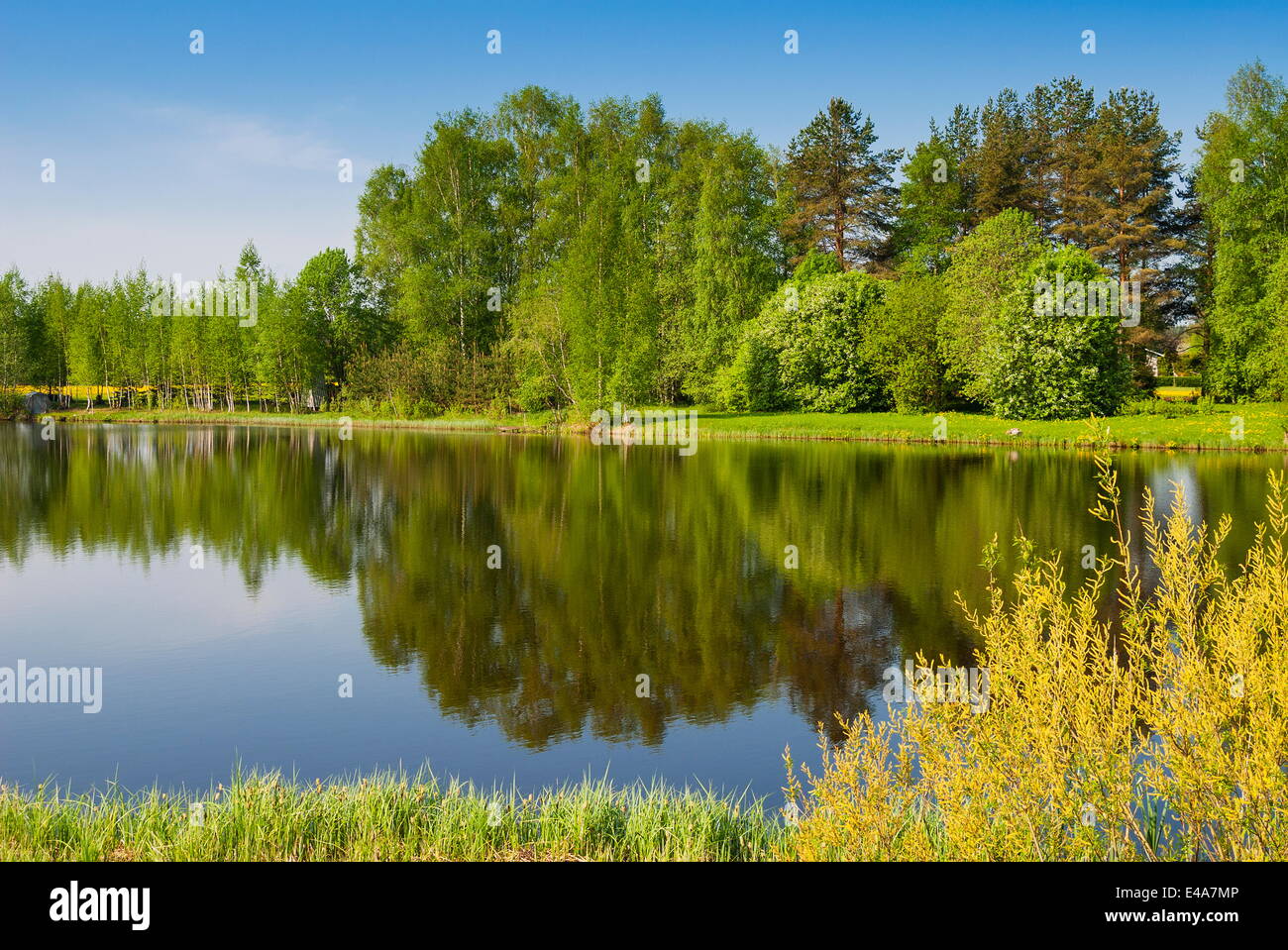 Emajogi River, Tartu, Estonia, Baltic States, Europe Stock Photo - Alamy