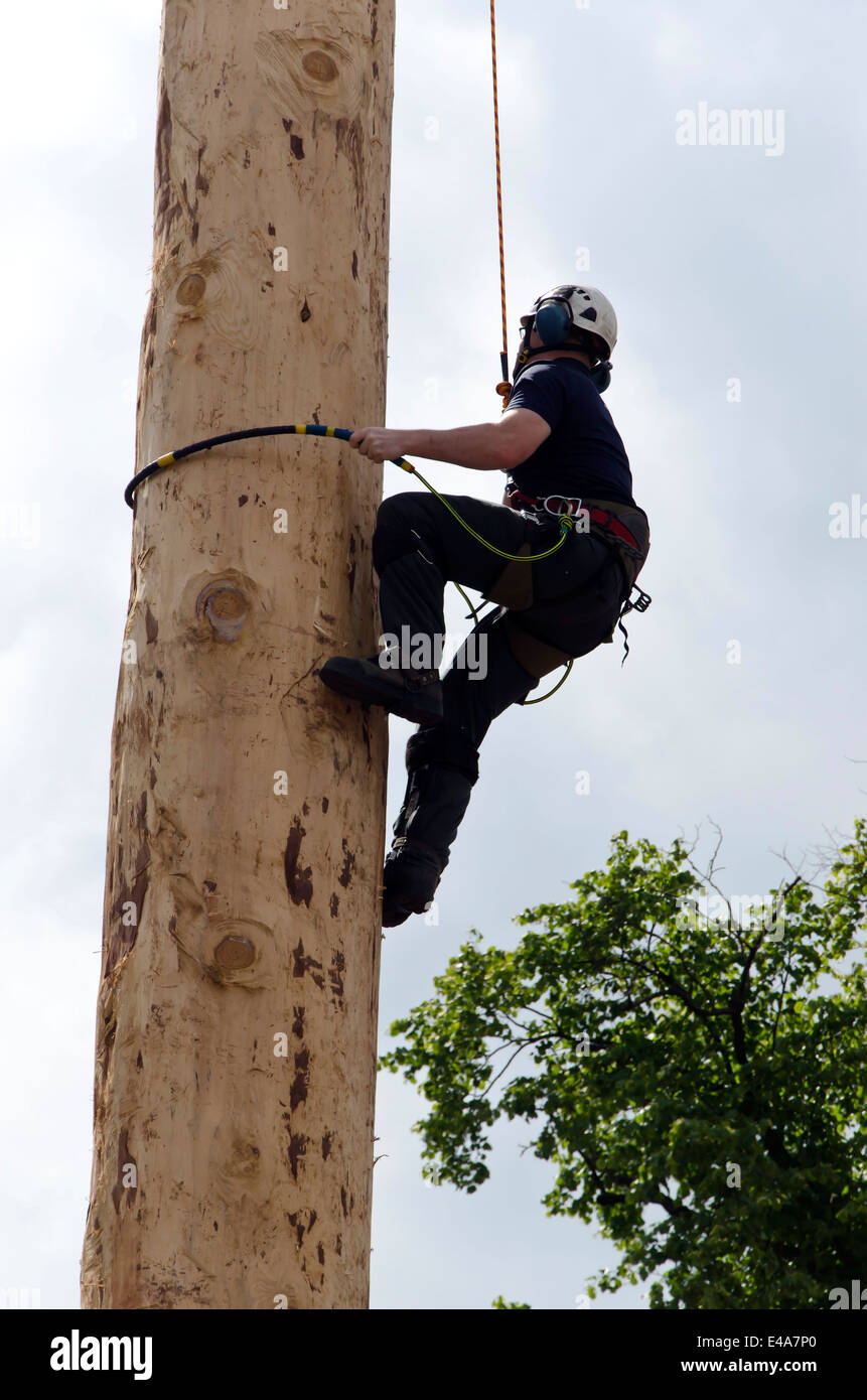 Contestant in a pole-climbing (running) competition at the Royal ...