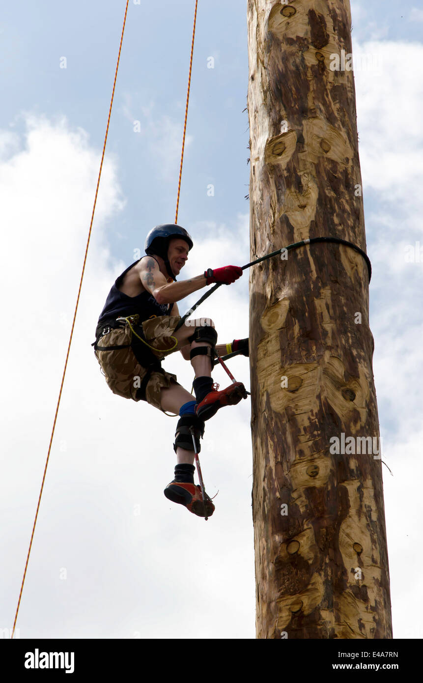 Pole climbing competition europe hi-res stock photography and images ...