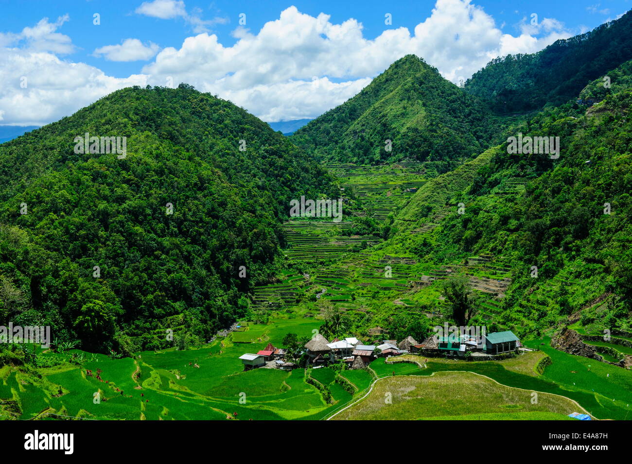 Bangaan in the rice terraces of Banaue, UNESCO World Heritage Site ...
