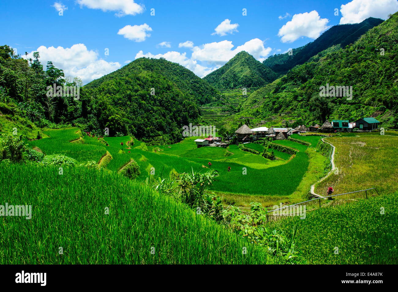 Rice terraces bangaan banaue luzon hi-res stock photography and images ...