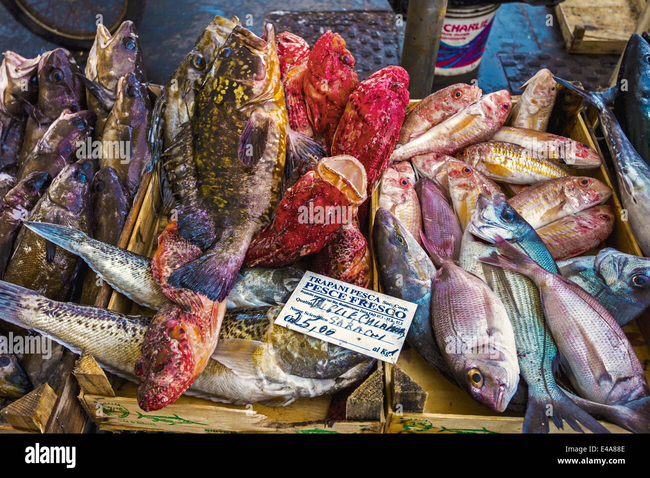 Colourful fish for sale at a market in this busy north western fishing ...
