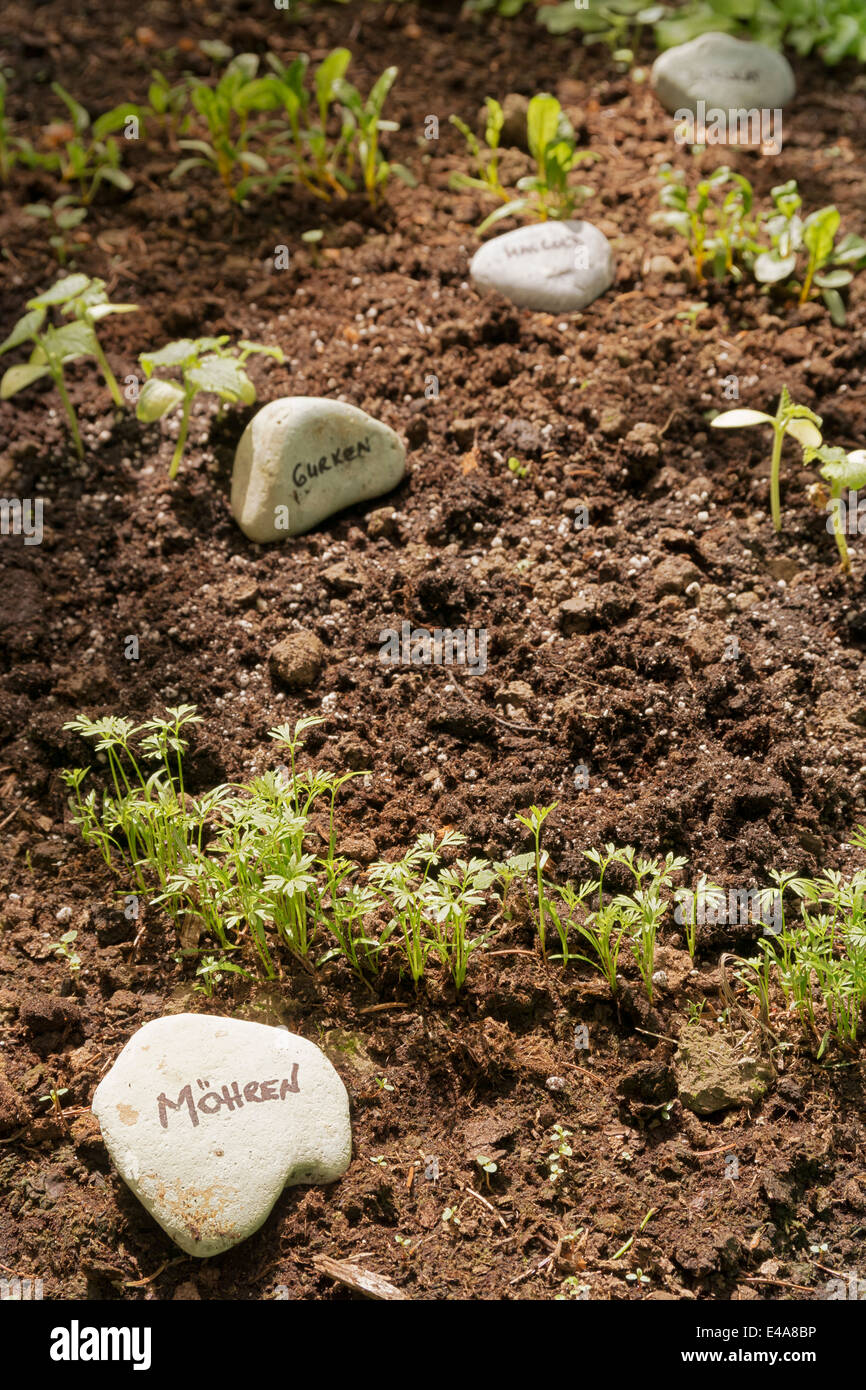 Garden with mixed vegetable patch Stock Photo - Alamy