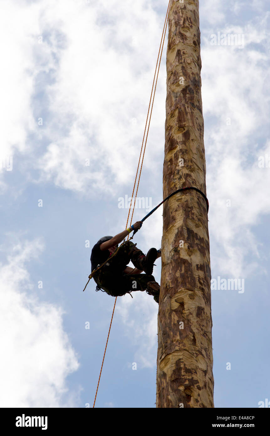 Pole climbing competition europe hi-res stock photography and images ...