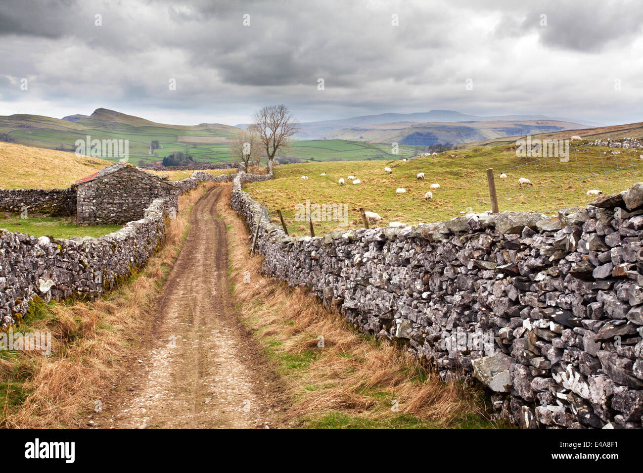 Pennine way track hi-res stock photography and images - Alamy