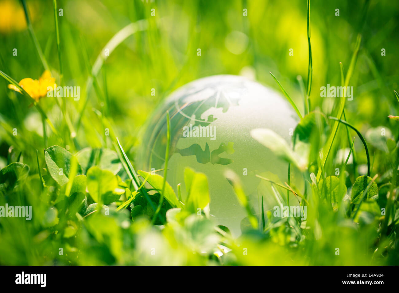 Globe glass ball Stock Photo - Alamy