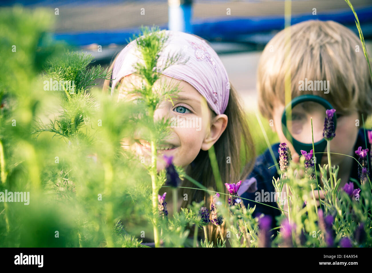 Brother and sister watching flowers with magnifying glass Stock Photo ...
