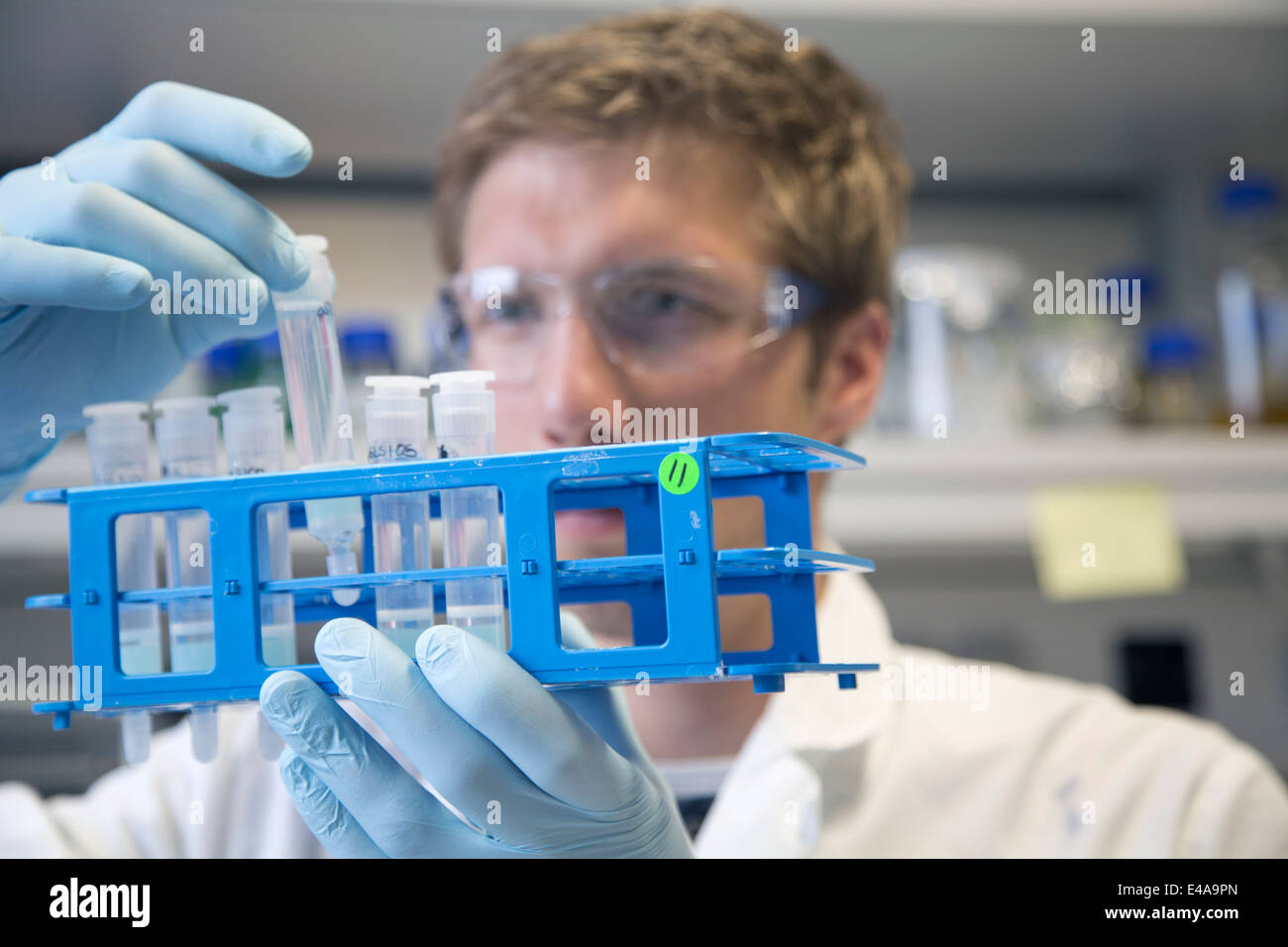 Biological development hi-res stock photography and images - Alamy
