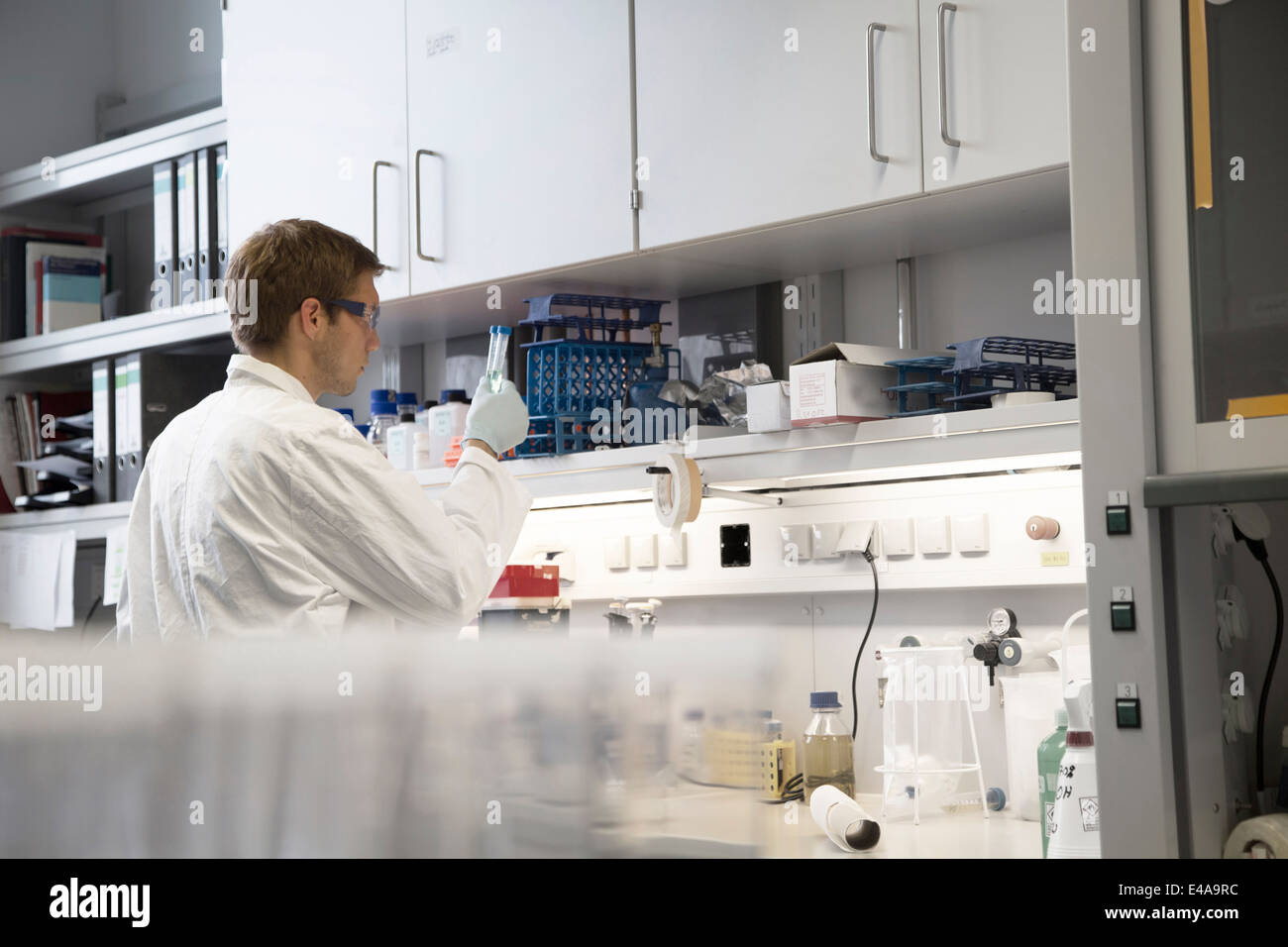 Biological development hi-res stock photography and images - Alamy