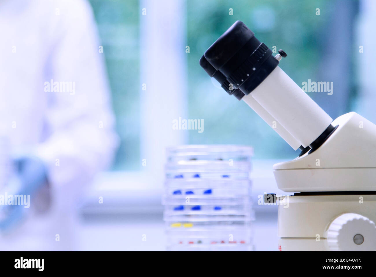 Stack of petri dishes and microscope in laboratory Stock Photo - Alamy