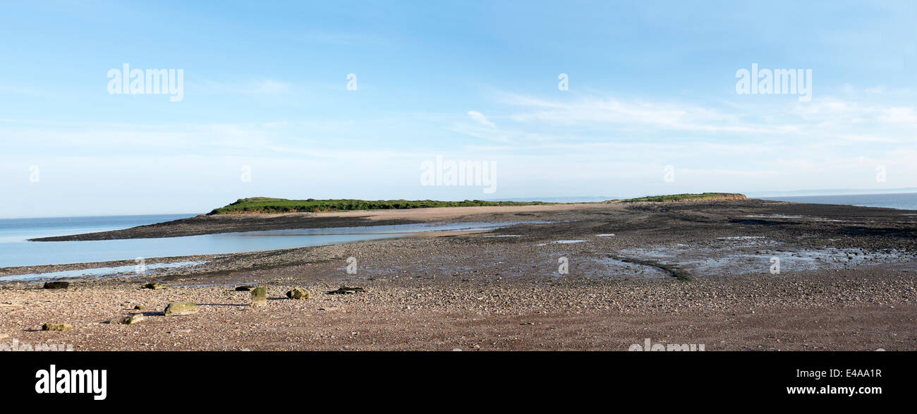 Sully Island Stock Photo - Alamy