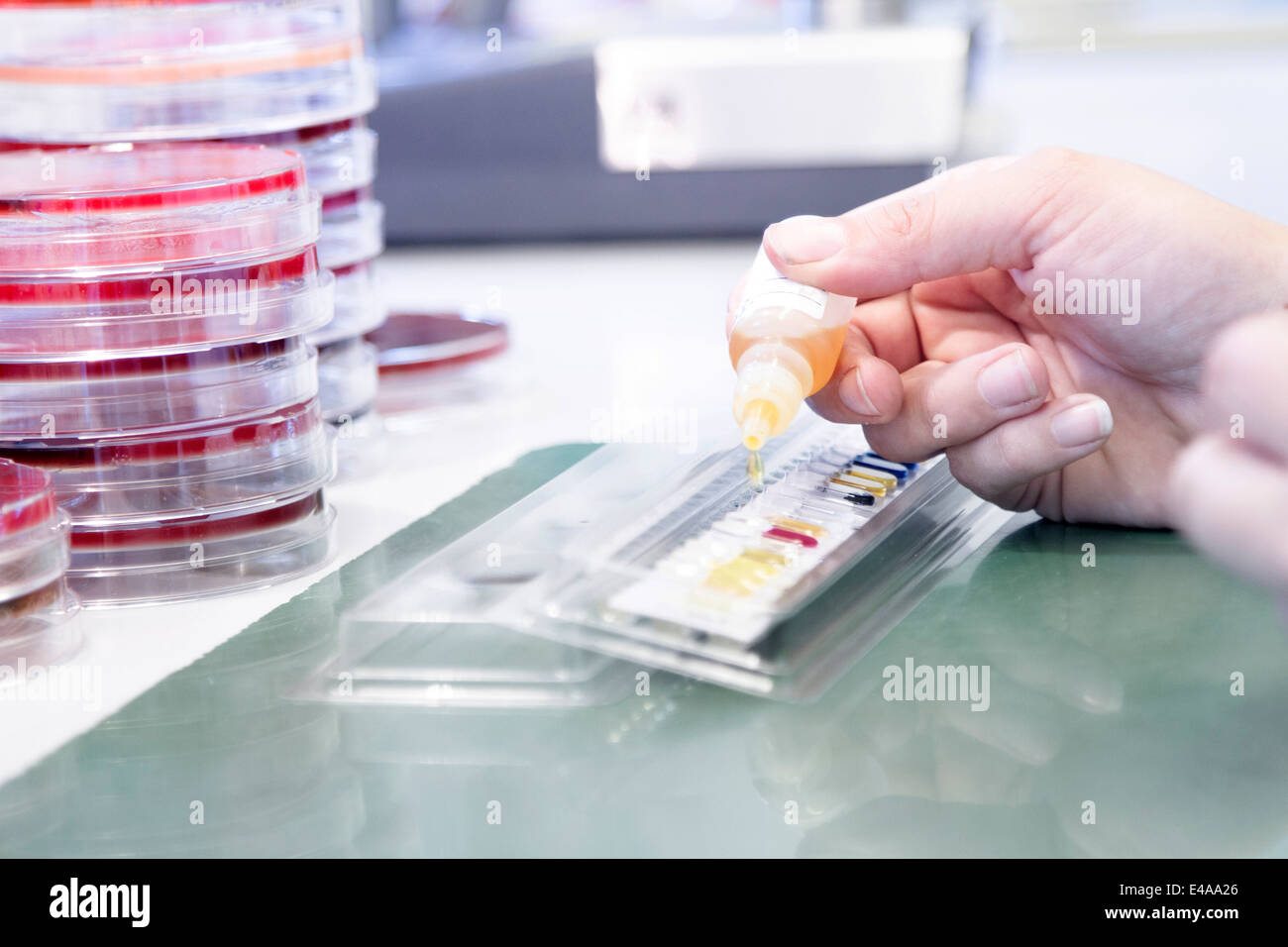 Female food analyst working in laboratory, detail Stock Photo - Alamy
