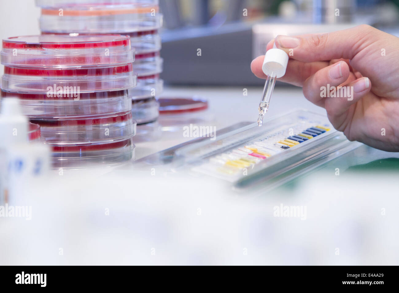 Female food analyst working in laboratory, detail Stock Photo - Alamy