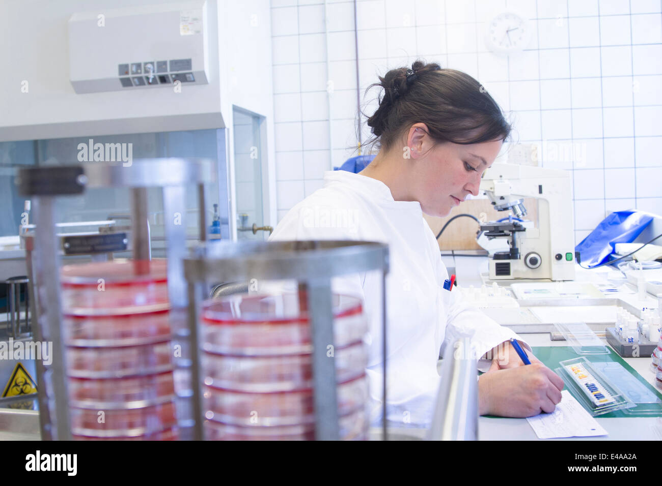 Female food analyst working in laboratory Stock Photo - Alamy