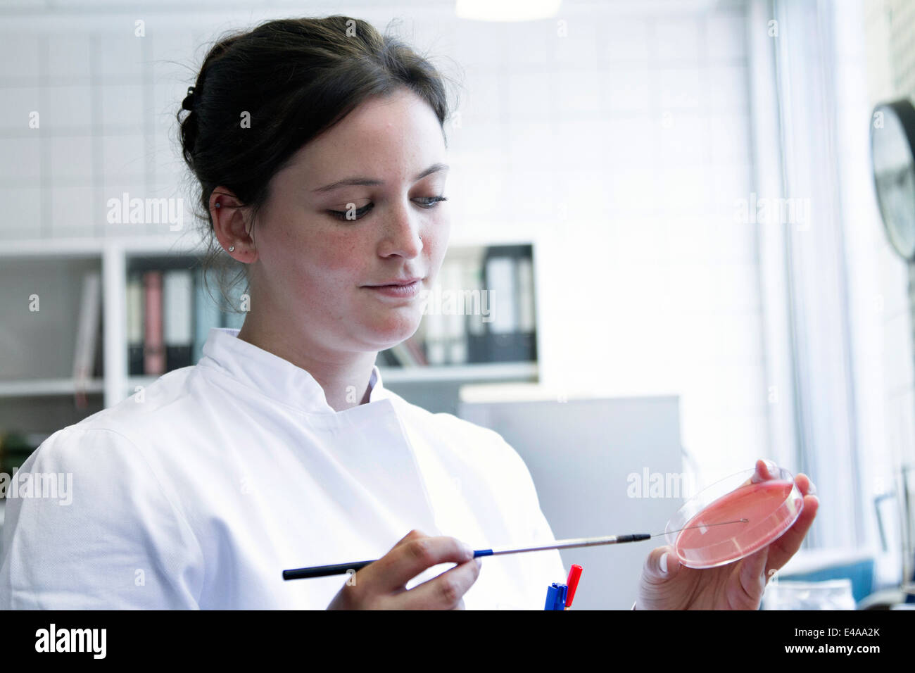 Female food analyst working in laboratory, detail Stock Photo - Alamy