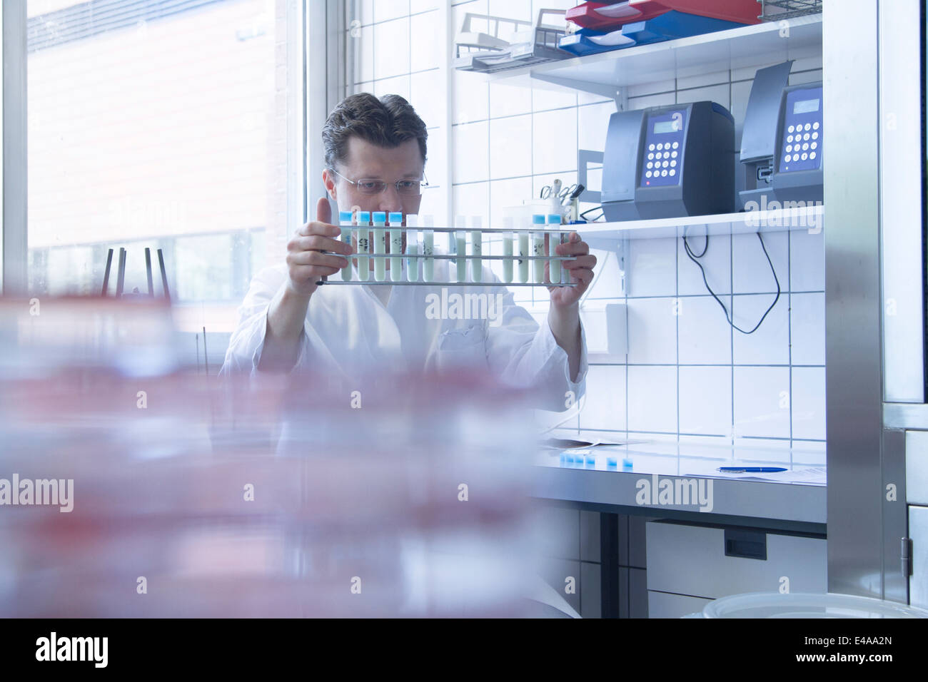 Portrait of food analyst working in laboratory Stock Photo - Alamy